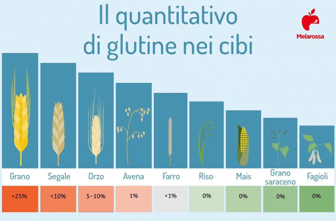 Glutine: cos’è, a cosa serve, alimenti con e senza, intolleranze.