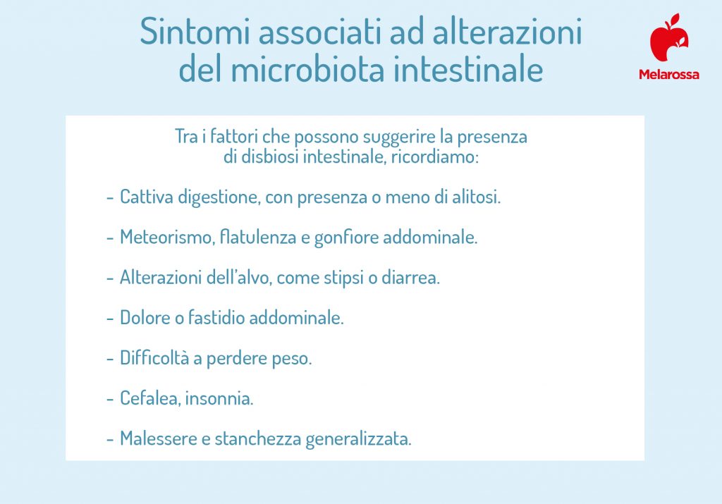 Microbiota intestinale: cos’è, funzioni, come tenerlo in buona salute