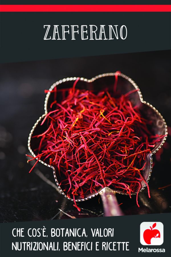 Zafferano: storia, valori nutrizionali, benefici e ricette- Melarossa