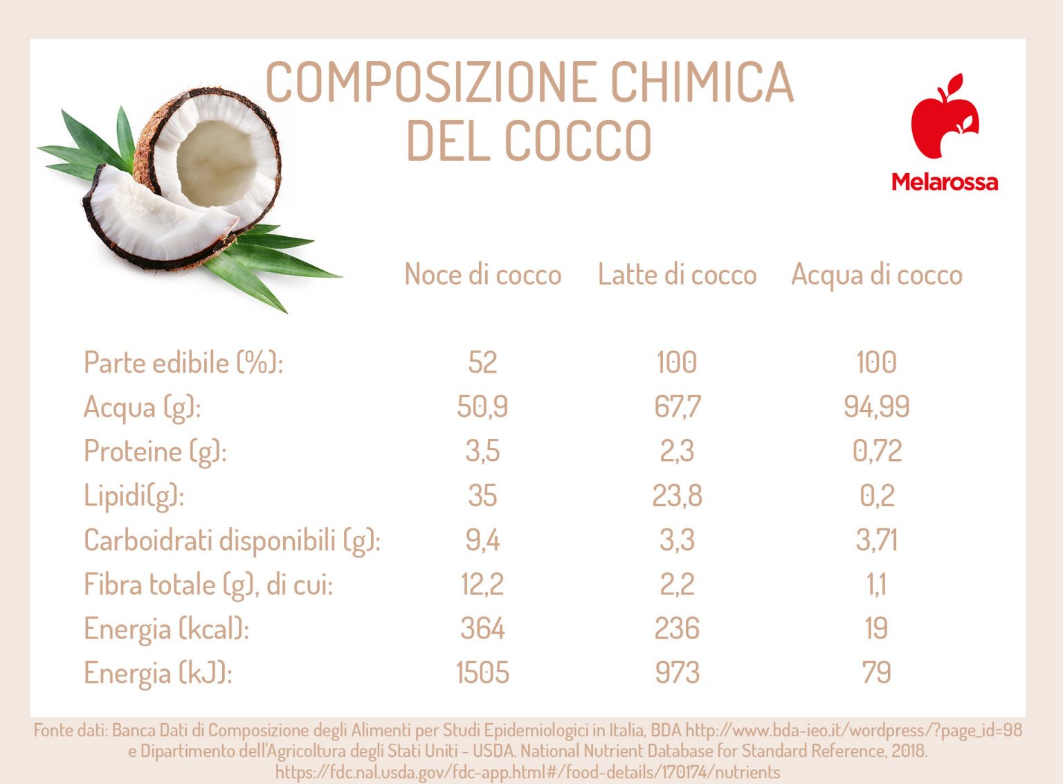 Cocco: benefici, usi e proprietà per la salute e la bellezza