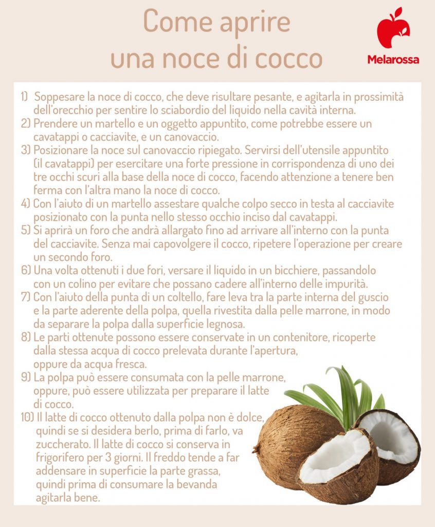 Cocco: proprietà, benefici, calorie e valori nutrizionali e usi in cucina