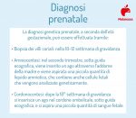 Anemia mediterranea: cos’è, cause, sintomi, diagnosi, cure