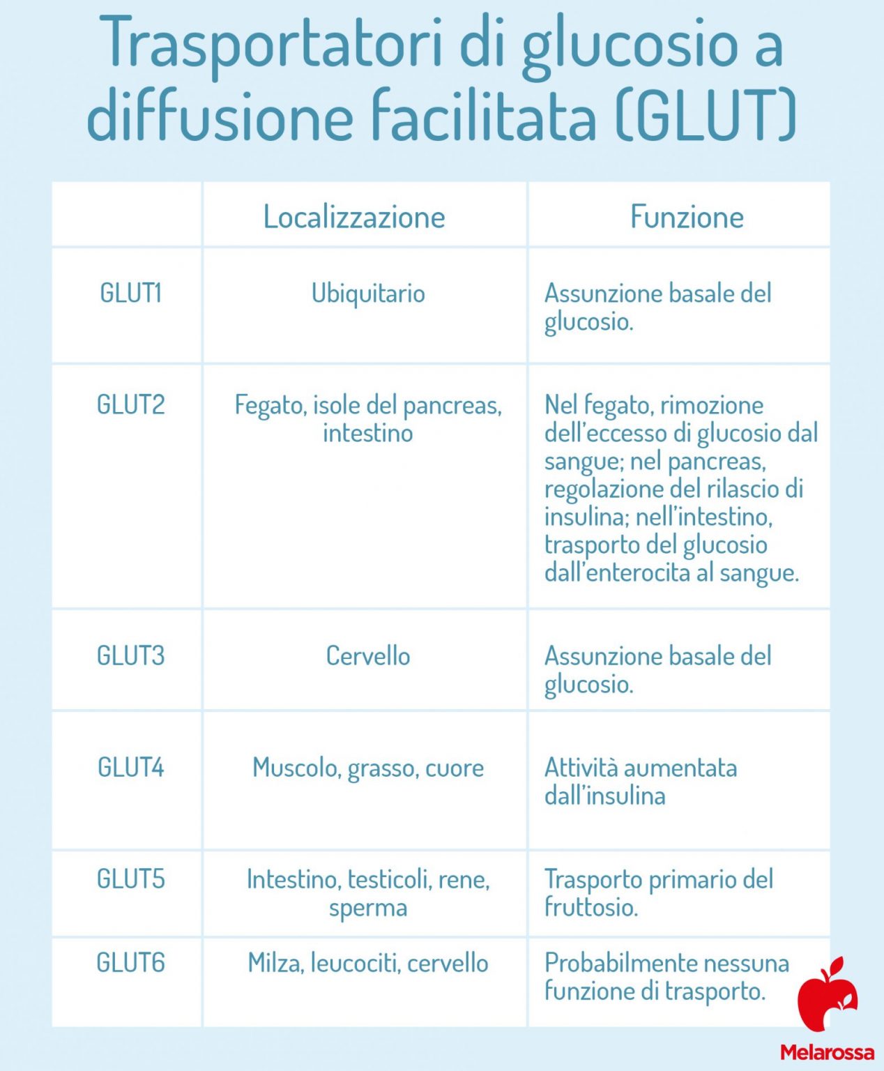 Glucosio: cos’è, composizione chimica, come viene metabolizzato