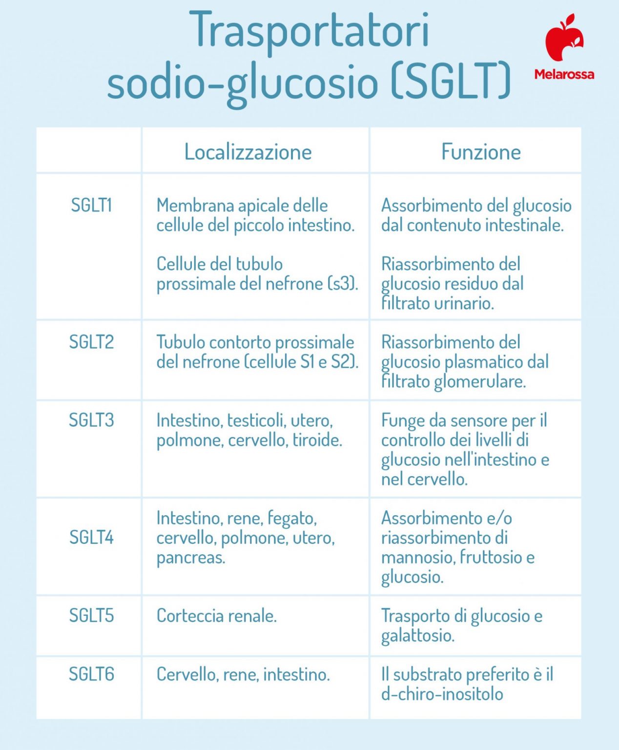 Glucosio: cos’è, composizione chimica, come viene metabolizzato