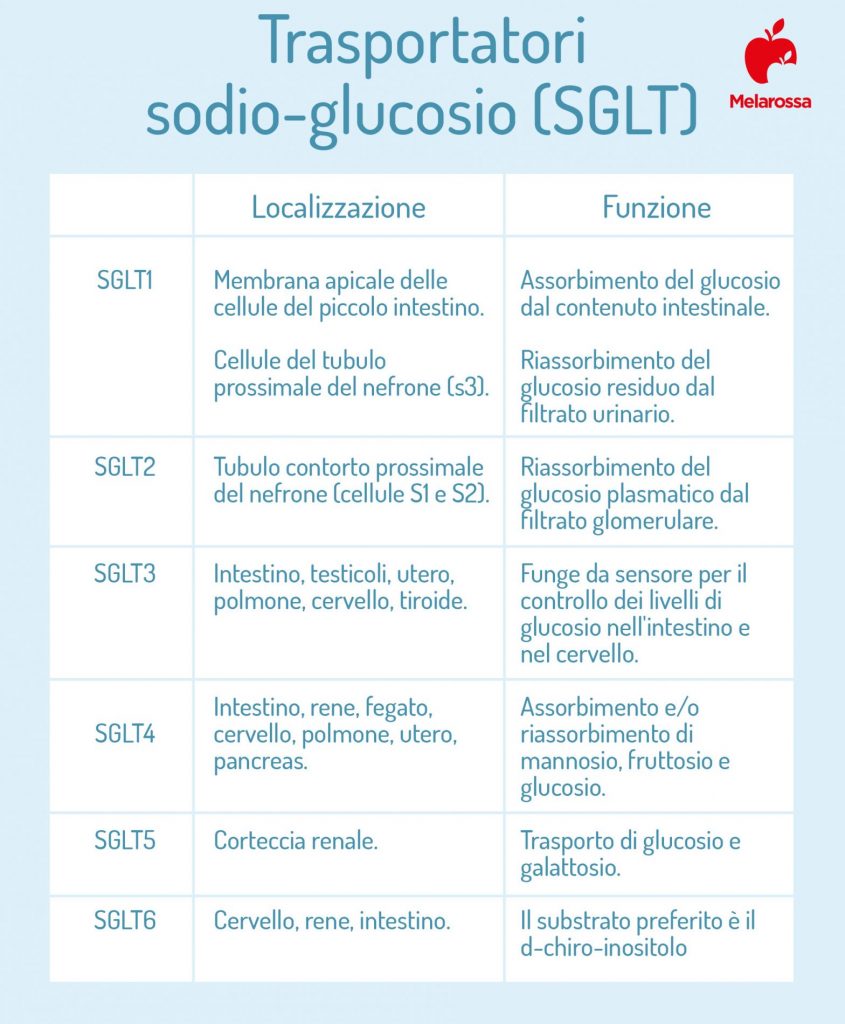 Glucosio: cos’è, composizione chimica, come viene metabolizzato