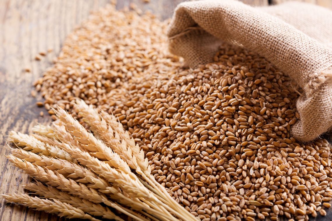 Grano Senatore Cappelli: proprietà, benefici e valori nutrizionali