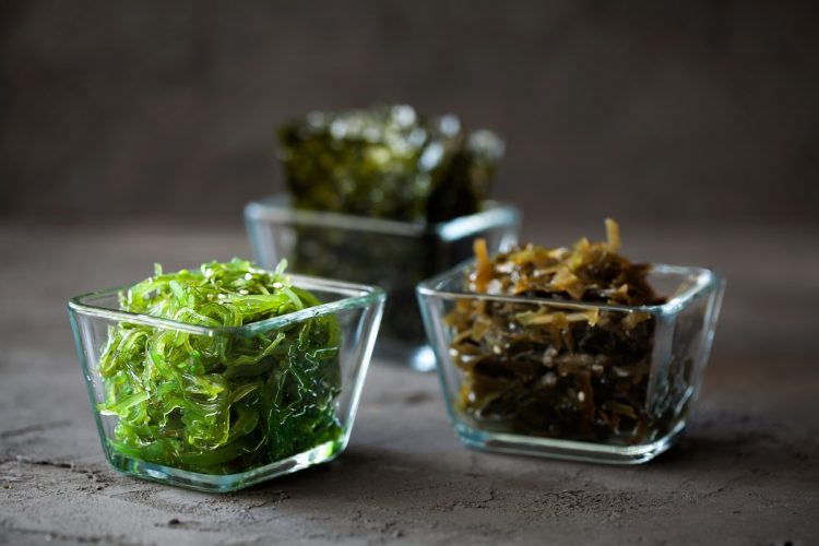 Proteine vegetali: quali sono, alimenti ricchi e benefici