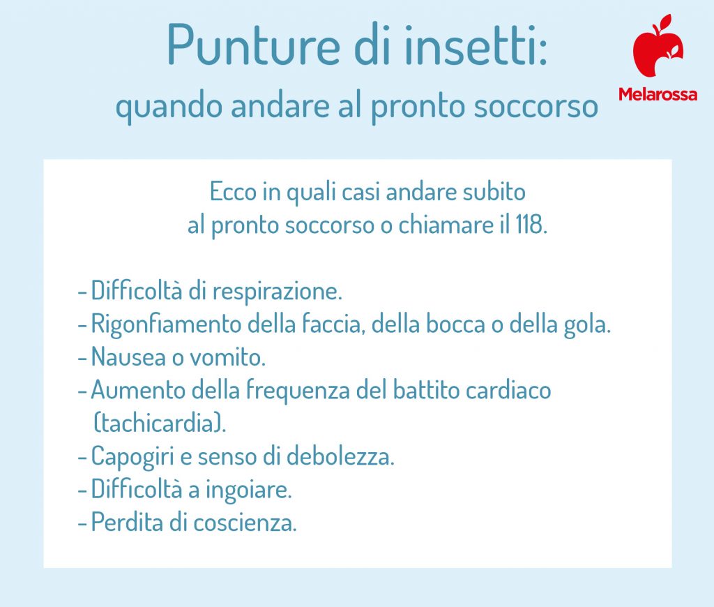 Punture di insetti: come riconoscerle, cosa fare e consigli per prevenirle