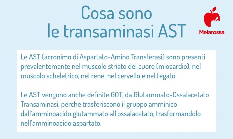 Transaminasi: cosa sono, tipi, valori, patologie connesse
