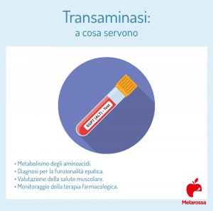 Transaminasi: cosa sono, tipi, valori, patologie connesse
