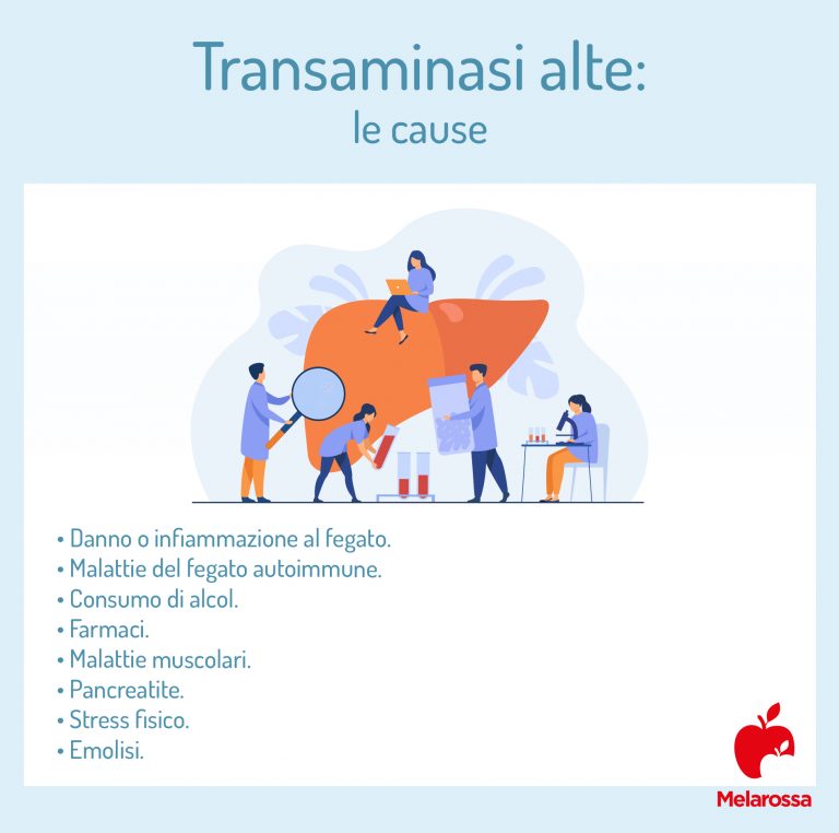 Transaminasi: cosa sono, tipi, valori, patologie connesse