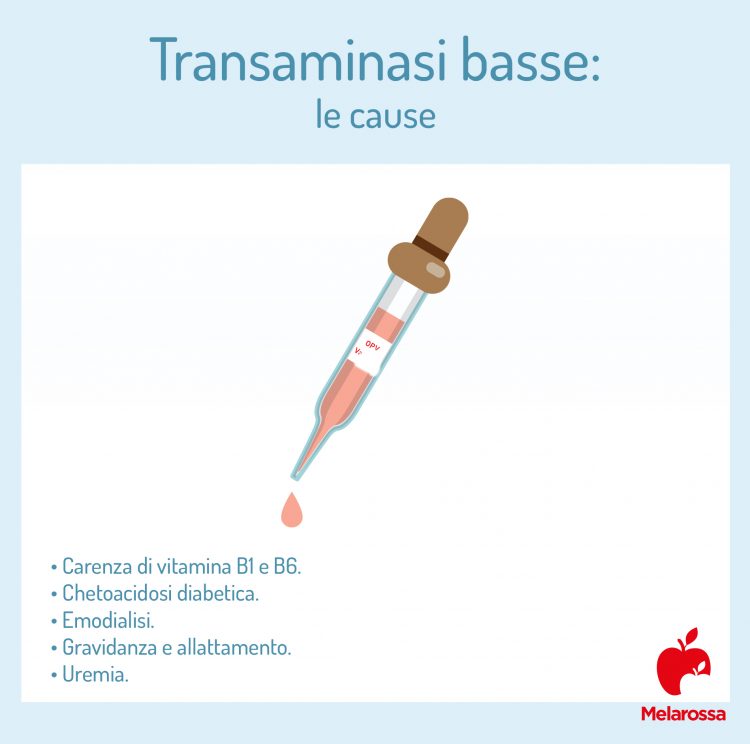 Transaminasi: cosa sono, tipi, valori, patologie connesse