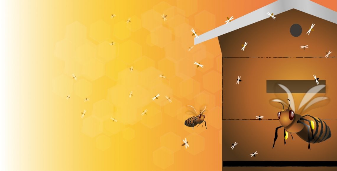 Pappa reale: che cos’è, benefici, valori nutrizionali, usi