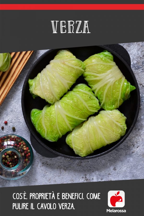 Verza: cos’è, proprietà e benefici, controindicazioni e ricette