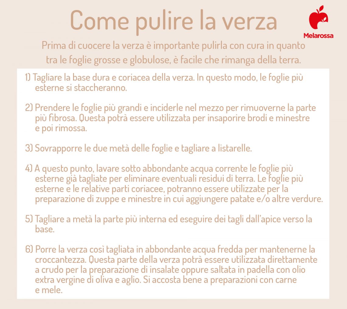 Verza: cos’è, proprietà e benefici, controindicazioni e ricette