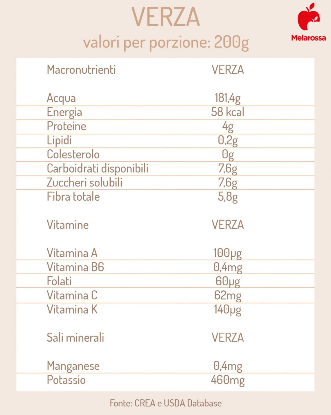 Verza: cos’è, proprietà e benefici, controindicazioni e ricette