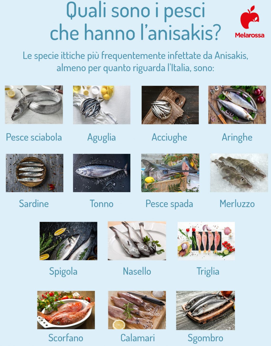 Anisakis: cos’è, sintomi, cause, diagnosi, cure, prevenzione