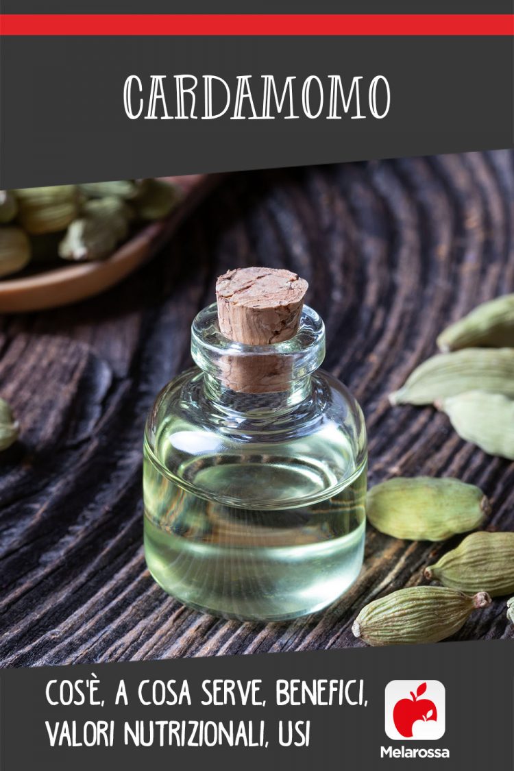 Cardamomo: cos'è, valori nutrizionali, benefici, varietà e usi in cucina