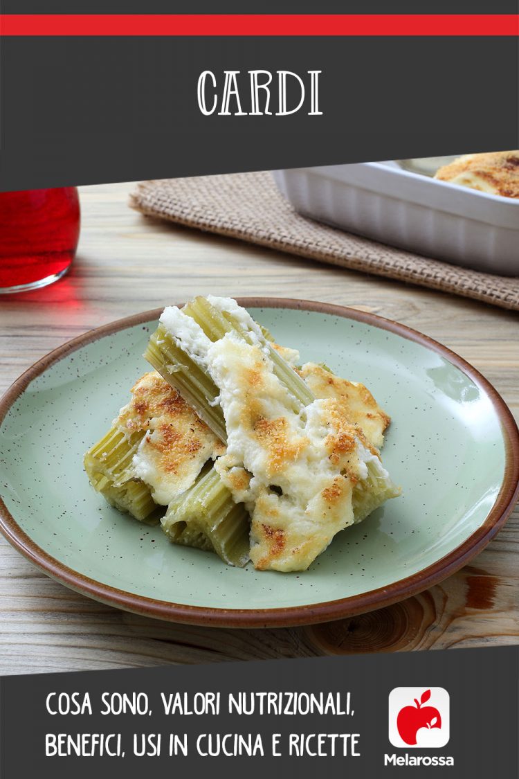 Cardi: proprietà, benefici e utilizzo in cucina - Melarossa