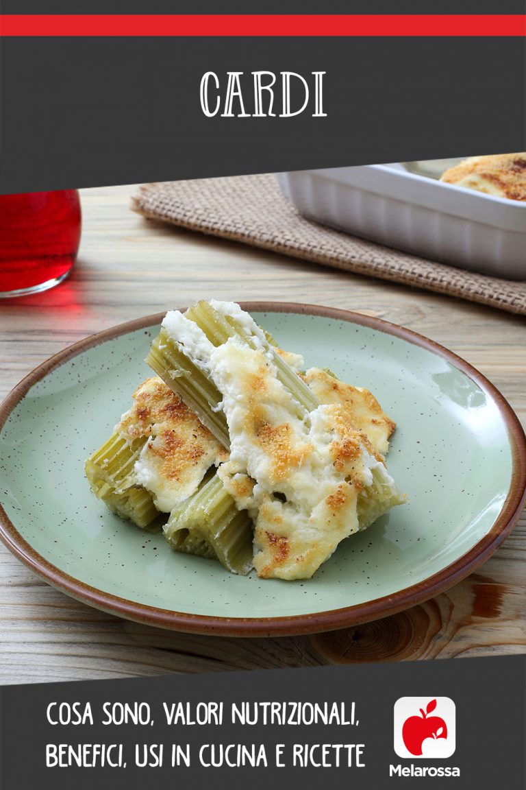 Cardi: proprietà, benefici e utilizzo in cucina - Melarossa