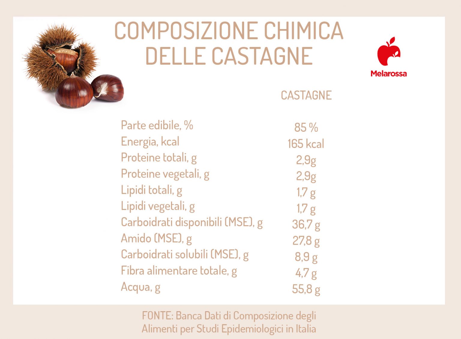 Castagne: proprietà, valori nutrizionali , benefici e usi in cucina