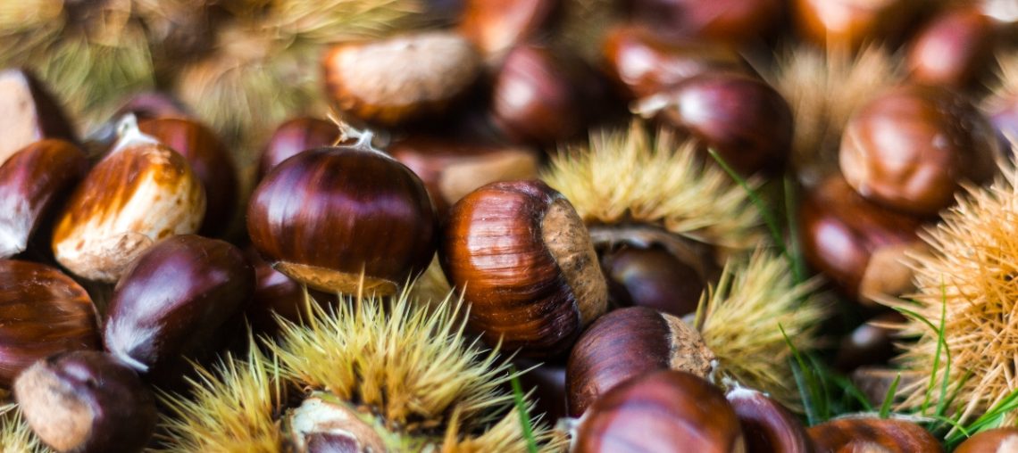 Castagne: proprietà, valori nutrizionali , benefici e usi in cucina