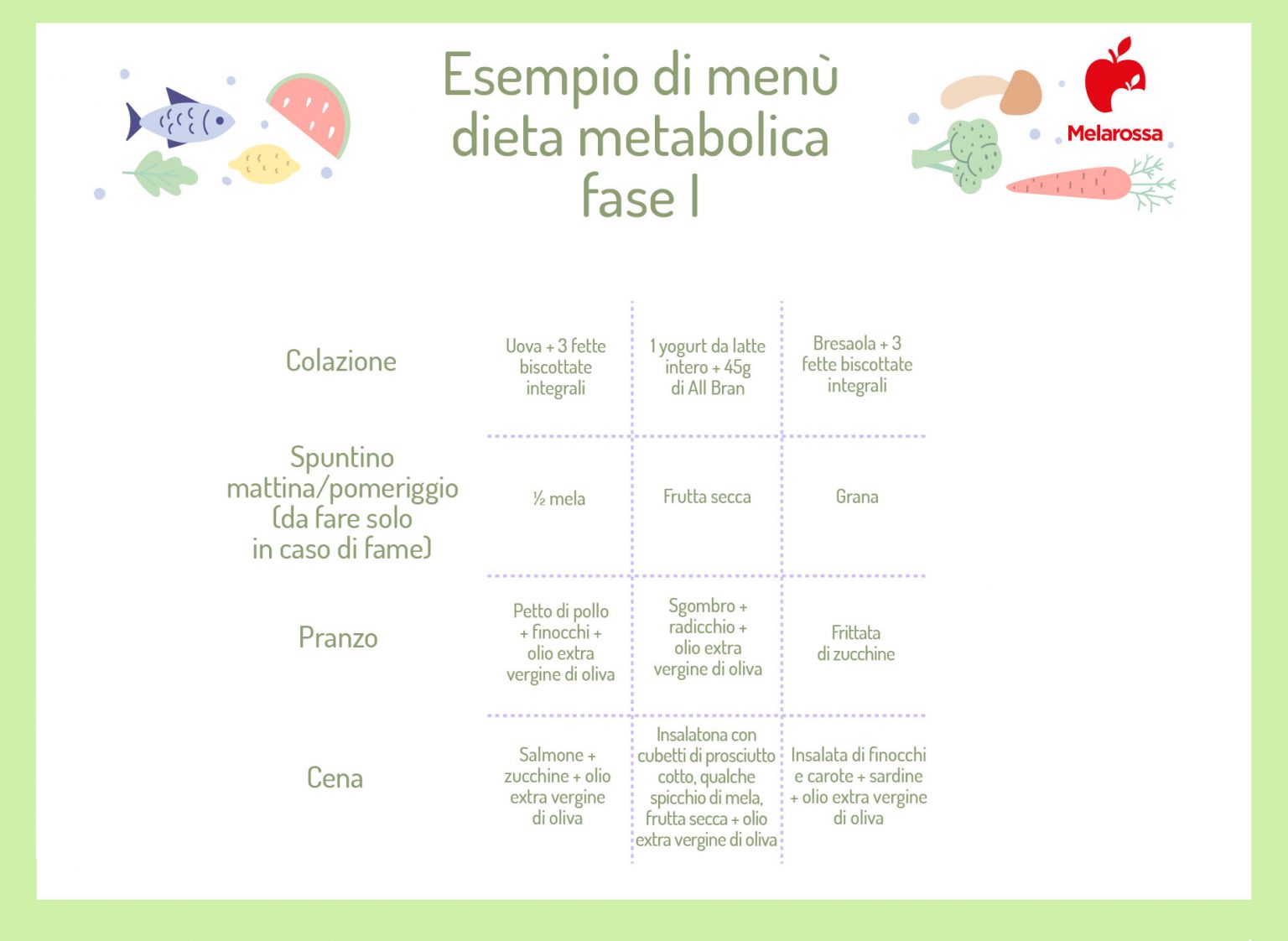 Dieta metabolica: cos’è la dieta meta e come funziona