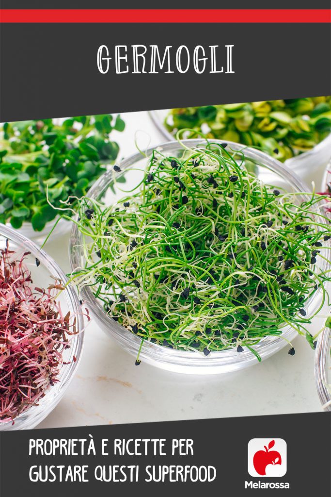 Germogli: proprietà e ricette per gustare questi superfood - Melarossa