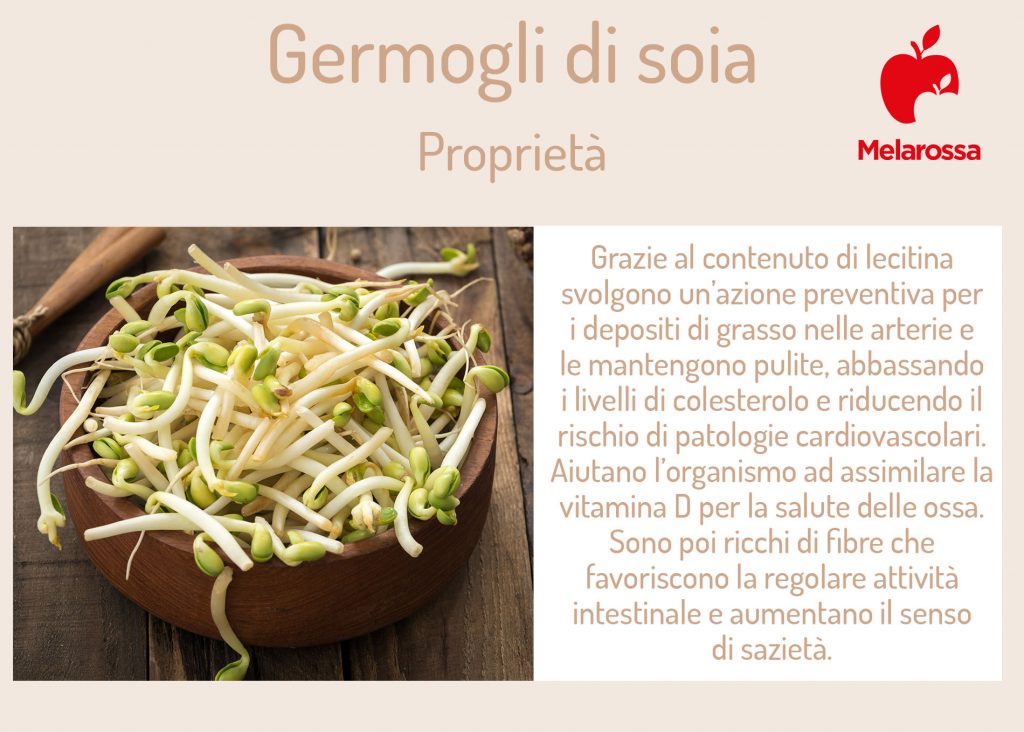 Germogli: proprietà e ricette per gustare questi superfood - Melarossa