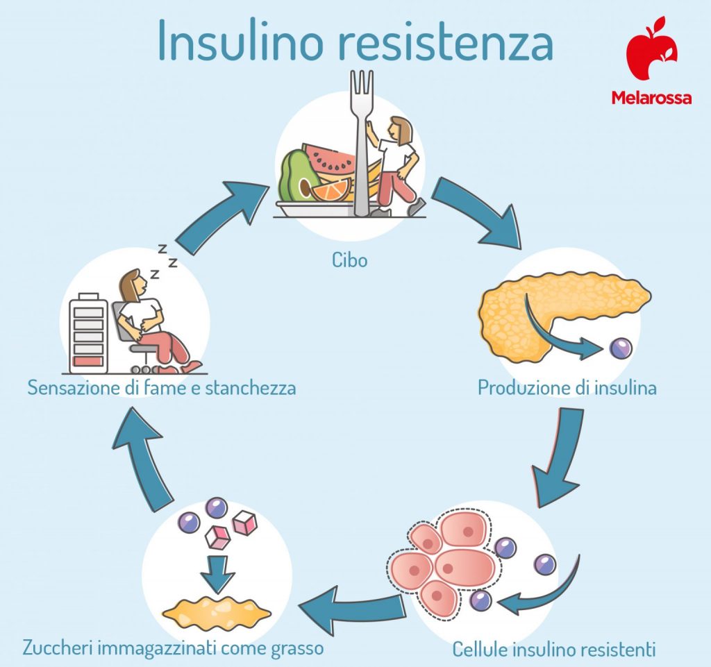 Insulina: cos’è, funzioni, tipi, valori, diabete e terapia insulinica