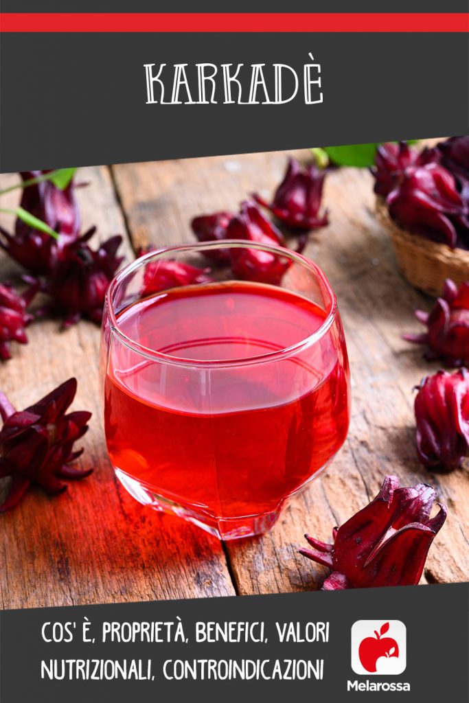 Karkadè: proprietà, benefici, valori nutrizionali, controindicazioni