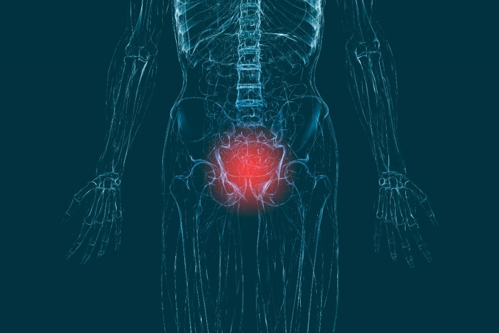 Pubalgia: che cos’è, cause, sintomi, diagnosi, cure, rimedi e esercizi