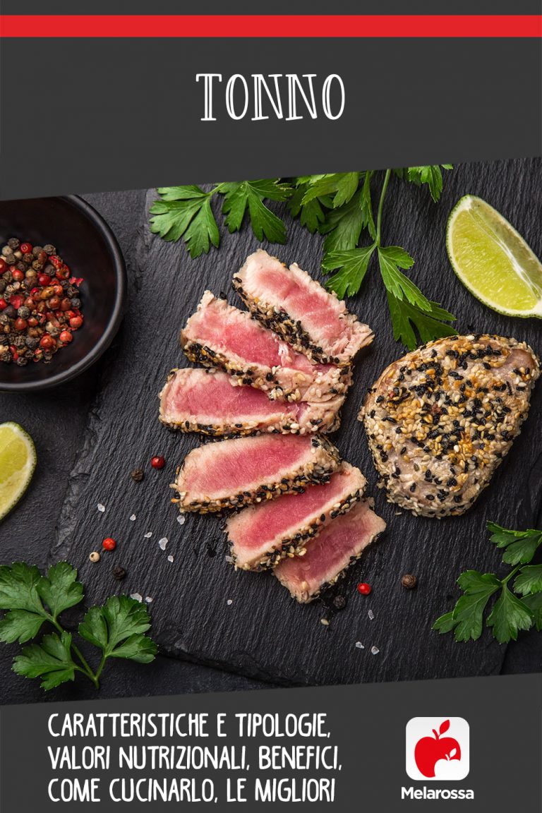 Tonno: caratteristiche, valori nutrizionali, benefici, le migliori ricette