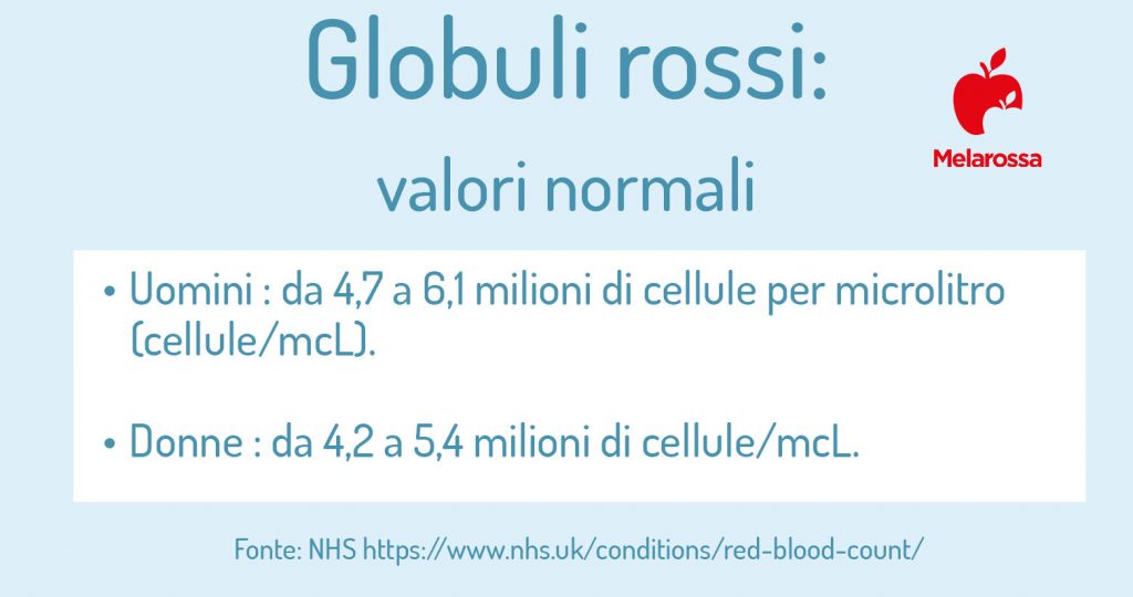 Eritrociti, globuli rossi: cosa sono, valori, cosa fare quando sono ...