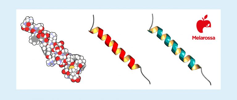 Glucagone: che cos'è, a cosa serve e come utilizzarlo per il metabolismo