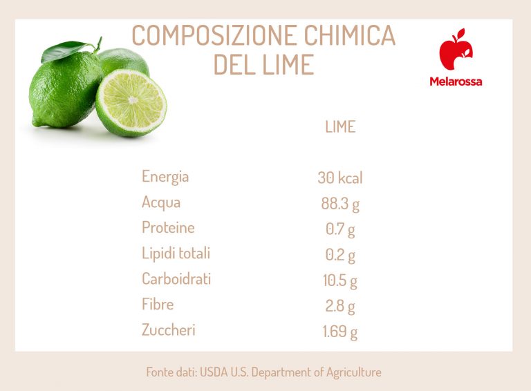 Lime o limetta: proprietà, benefici, usi, controindicazioni