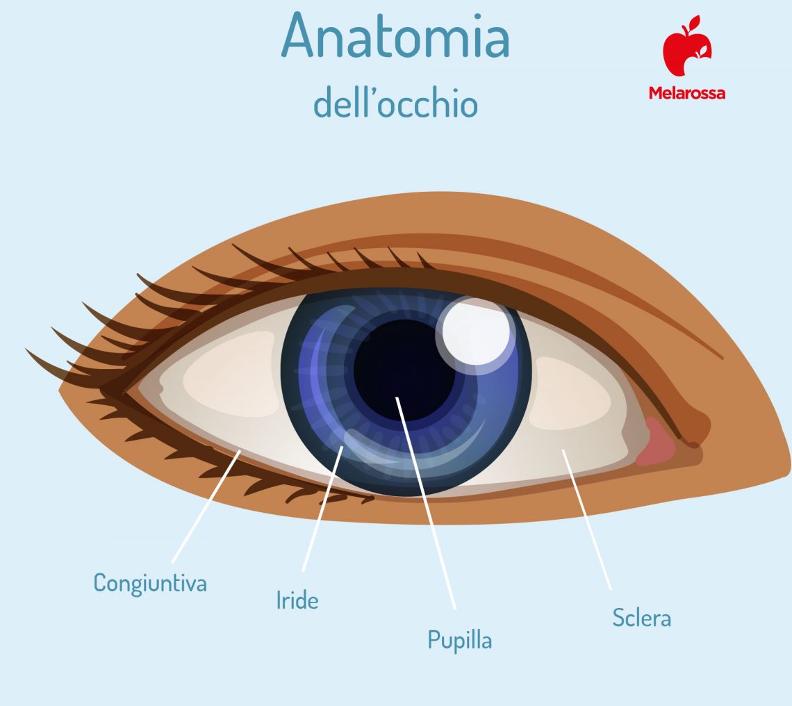 Sangue nell’occhio: cos’è, sintomi, cause, cosa fare, quando preoccuparsi