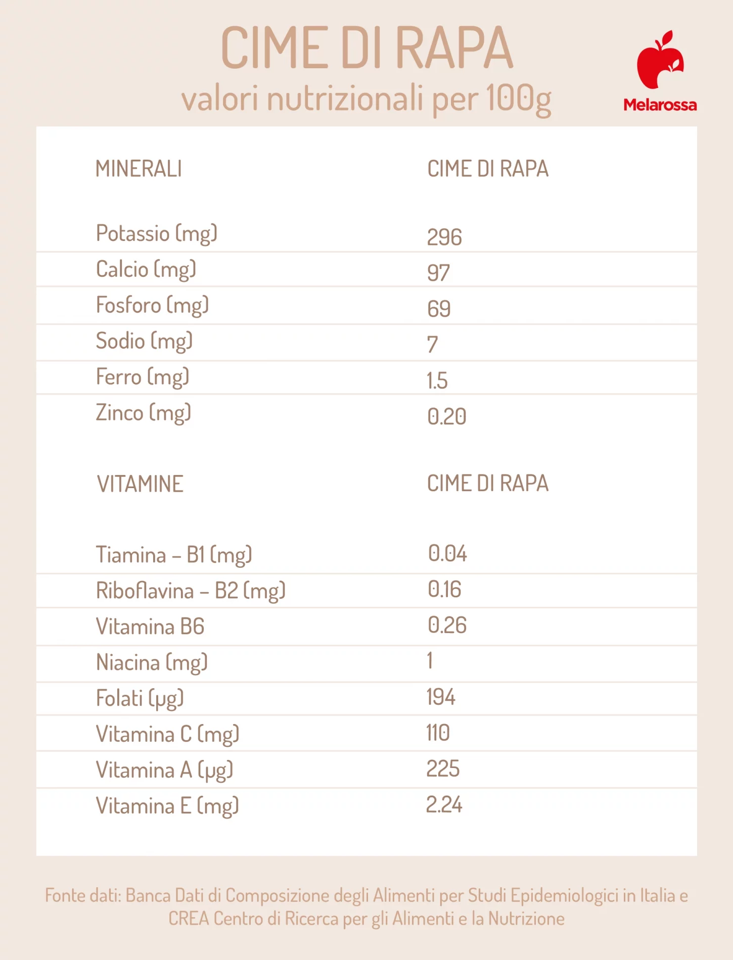 Cime di rapa: cosa sono, benefici, come cucinarle e migliori ricette