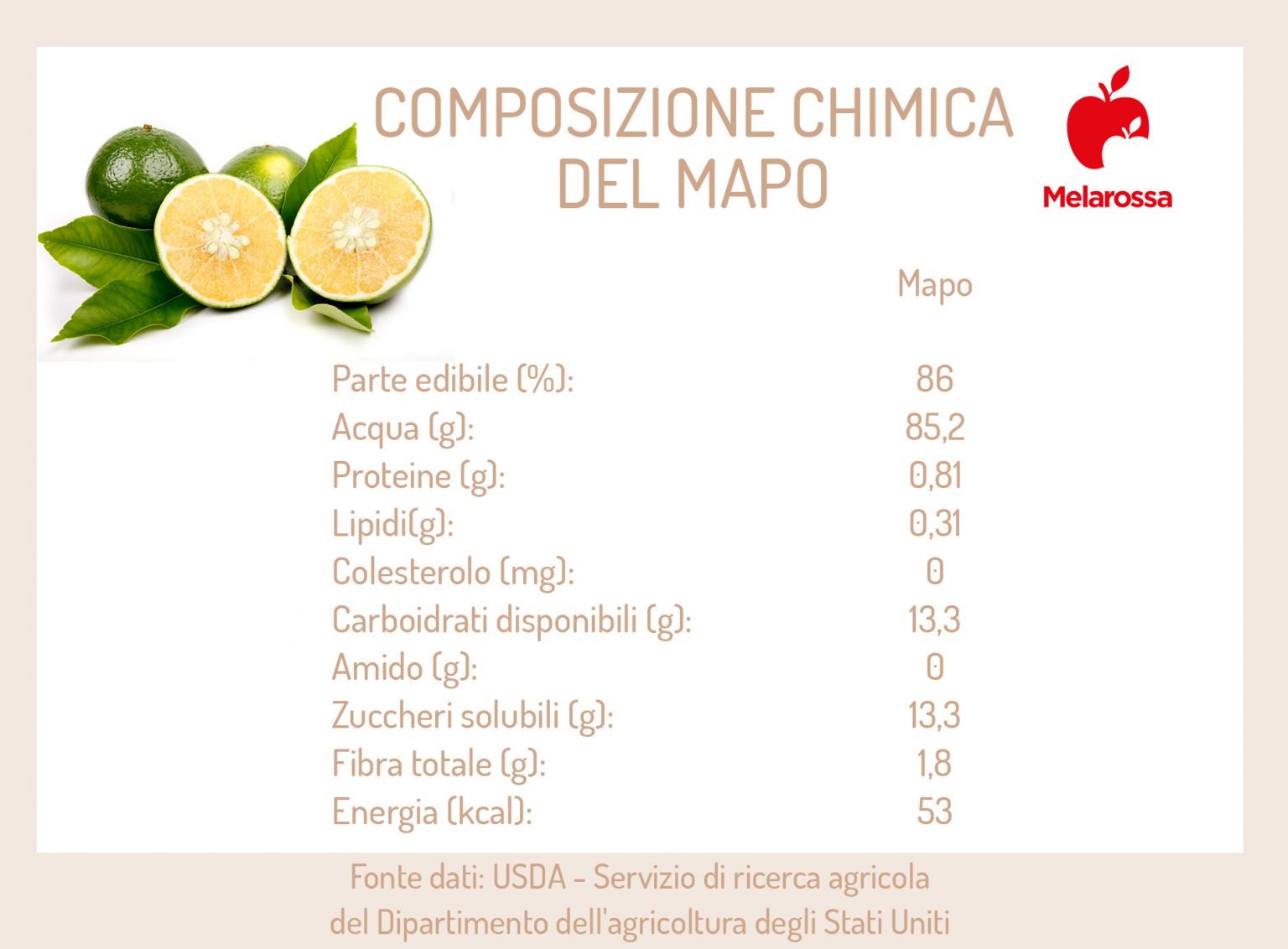 Mapo: cos’è, stagionalità, benefici, valori nutrizionali e usi in cucina