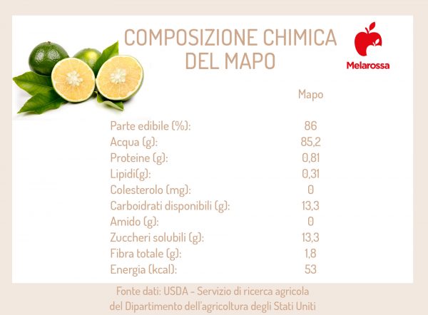 Mapo: cos’è, stagionalità, benefici, valori nutrizionali e usi in cucina
