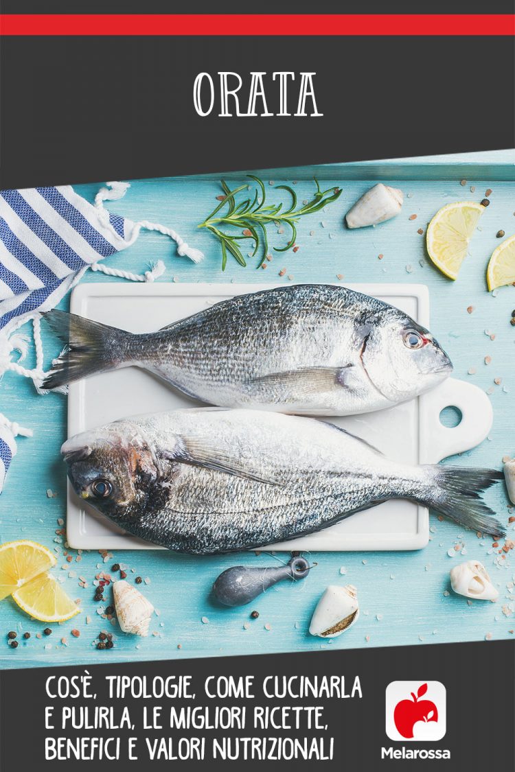 Orata: tipologie, come cucinarla, le migliori ricette, benefici