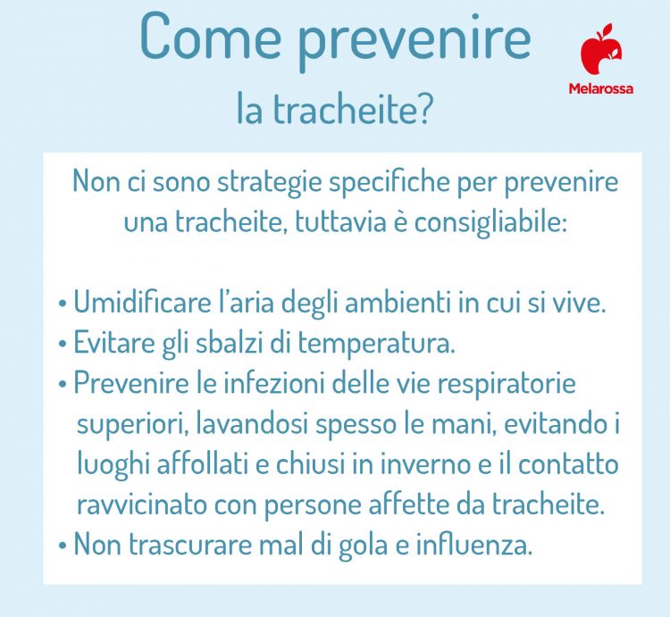 Tracheite: cos’è, quali sono i sintomi e le cause, cura e trattamento