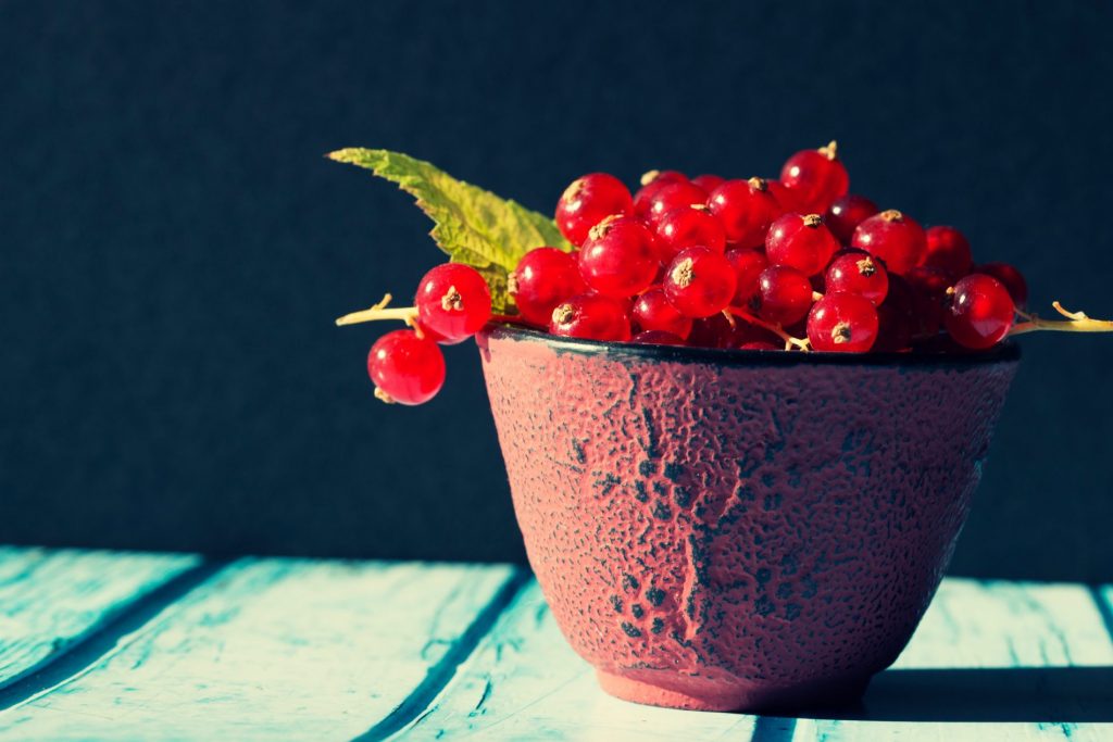 Mirtillo rosso: proprietà, benefici, controindicazioni, usi e ricette