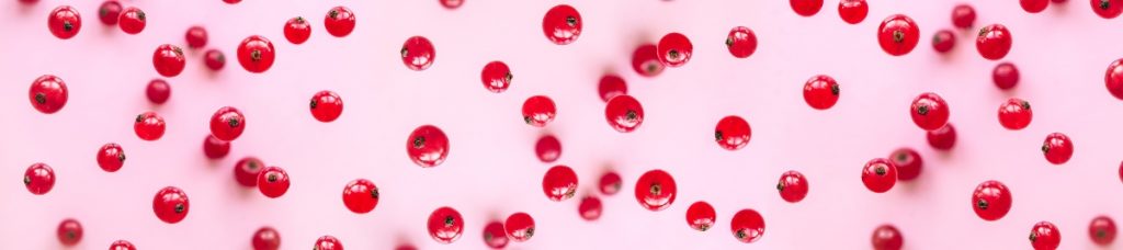 Mirtillo rosso: proprietà, benefici, controindicazioni, usi e ricette