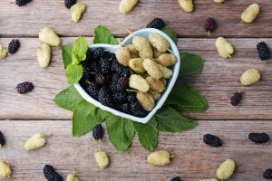 Gelso: cos'è, tipi, benefici, usi, controindicazioni