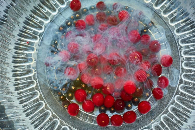 Mirtillo rosso: proprietà, benefici, controindicazioni, usi e ricette