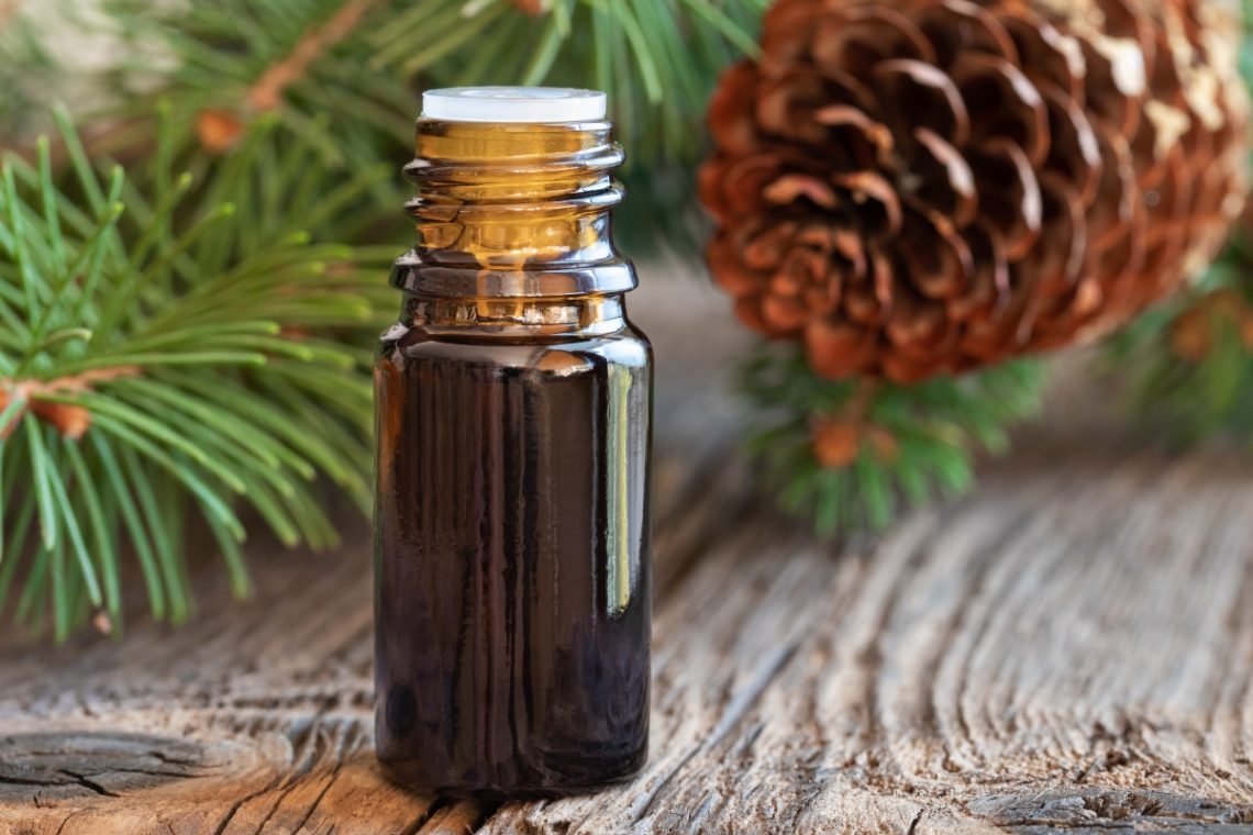 Canfora: che cos'è, proprietà, benefici, usi e controindicazioni