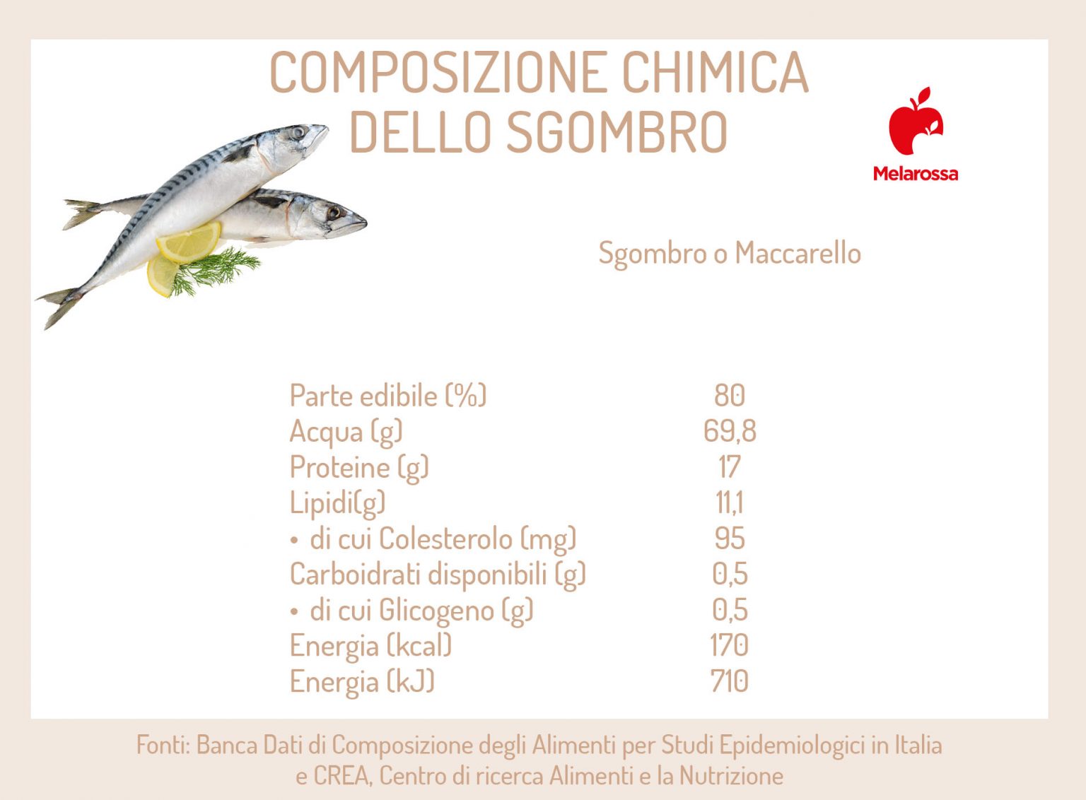 Sgombro: proprietà, come cucinarlo e le migliori ricette