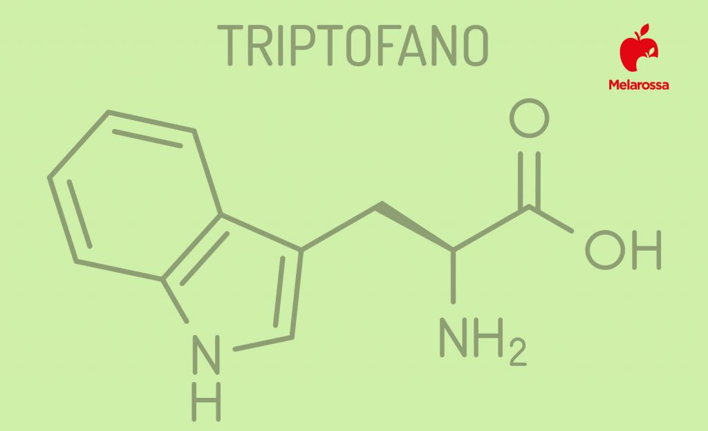 Triptofano: cos’è, proprietà, a cosa serve, controindicazioni