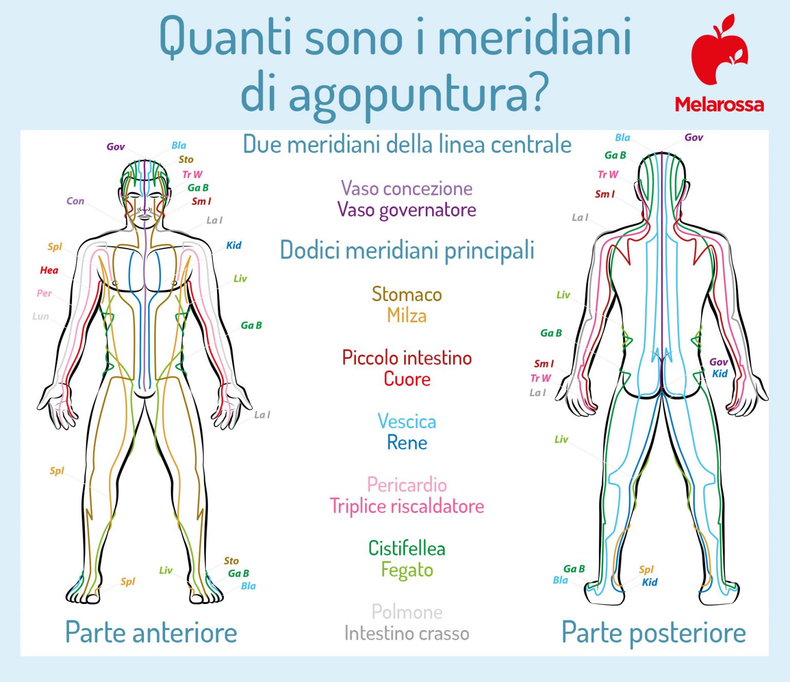 Agopuntura: che cos’è, a cosa serve, benefici, come funziona